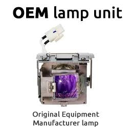 VIEWSONIC RLC-110 OEM (Original) Projector Lamp Unit – Projector Bulbs
